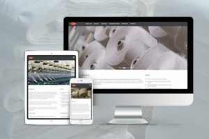 Web Design, SEO service, App Development Company Coimbatore